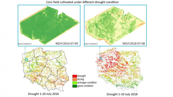 Sentinel 2 Data And Vegetation Indices Eo4geo